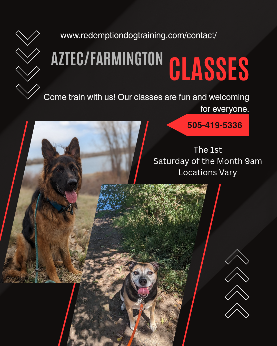 Dog Training Services – Redemption Dog Training, LLC